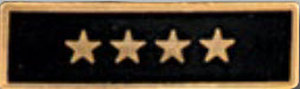Premier Emblem Enameled Service Stars